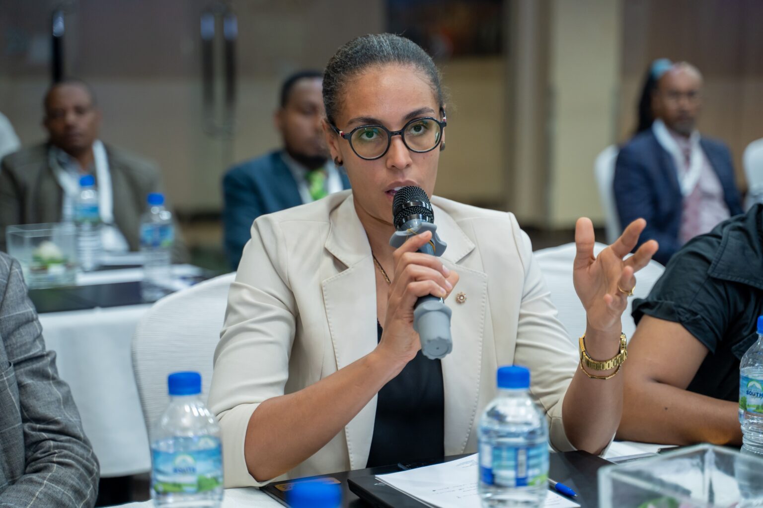 Green Finance Workshop Gathers Key Stakeholders in Ethiopia to Drive ...