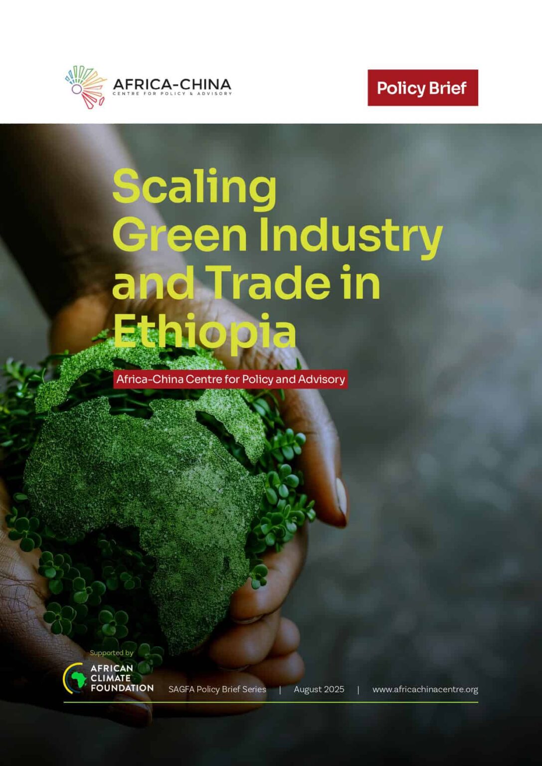 Scaling Green Industry and Trade in Ethiopia - Africa-China Centre